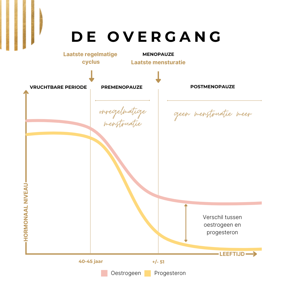 Moeite met afvallen tijdens de overgang? Ontdek de link met hormonale ...
